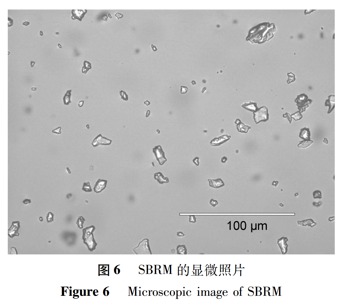 Synthesis of Anionic Styrene Butadiene Latex Powder and Its Application ...